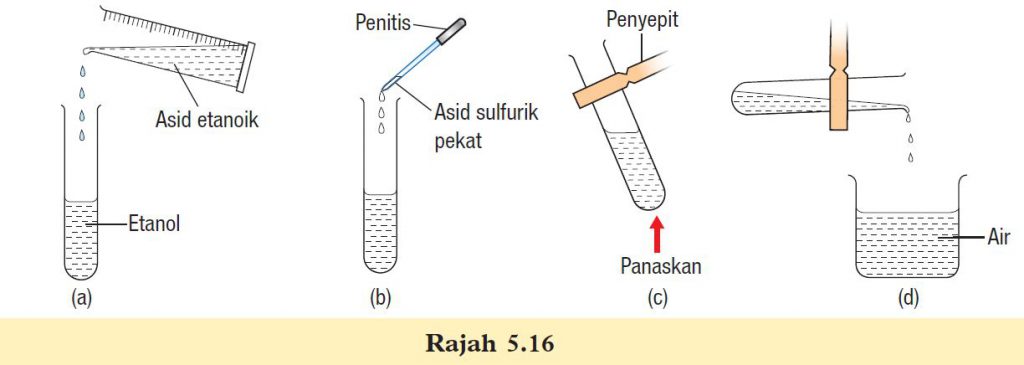 Aktiviti 5.6 - Sains Tingkatan 5 (KSSM) Bab 5 - Sains SPM